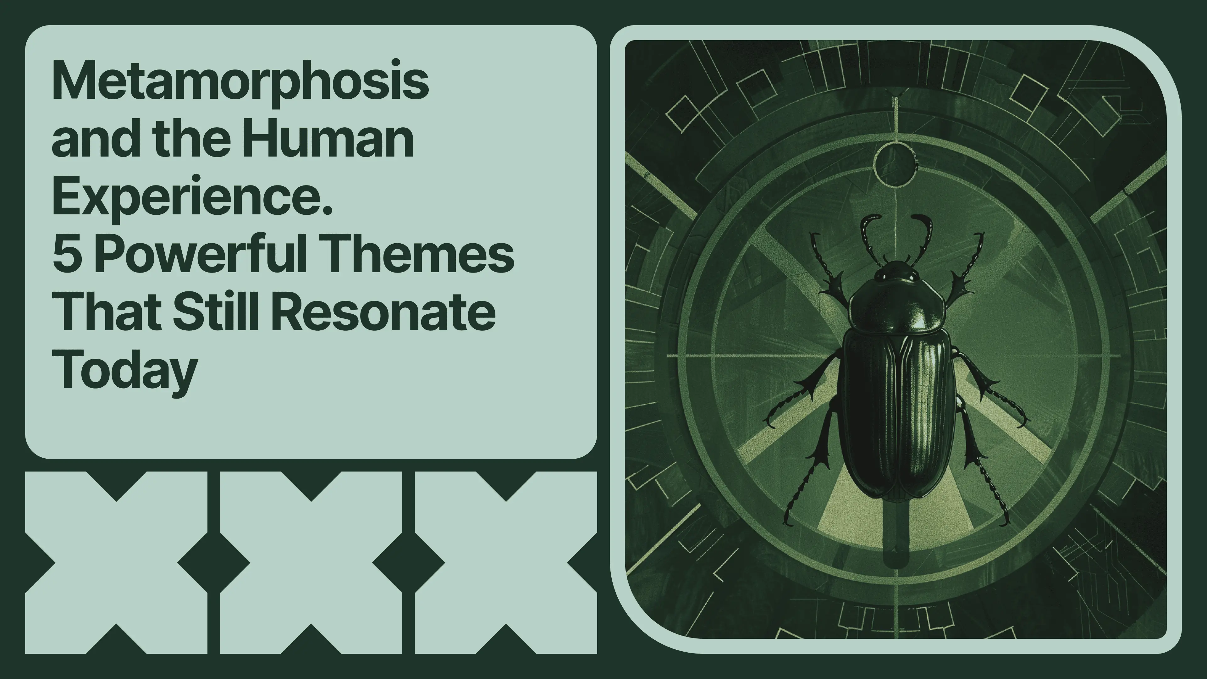 Metamorphosis and the Human Experience. 5 Powerful Themes That Still Resonate Today